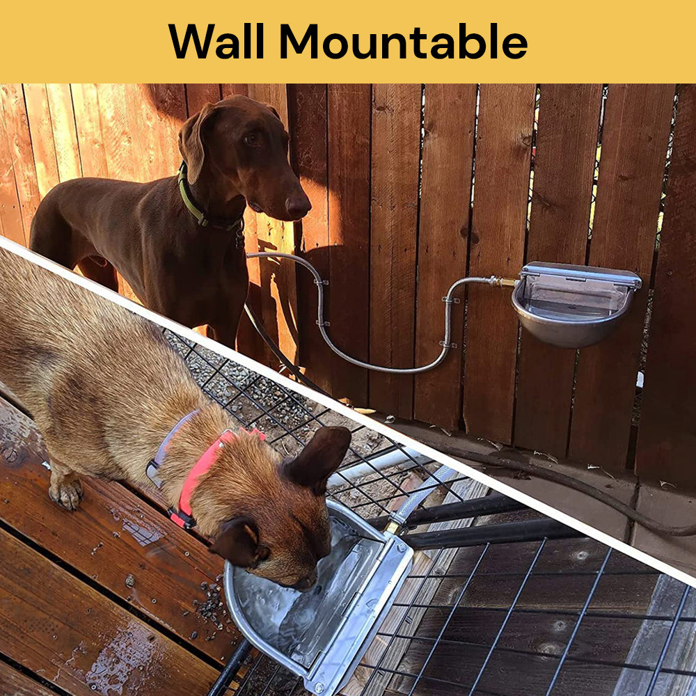 Automatic Water Bowl – SNMARTAUSTRALIA